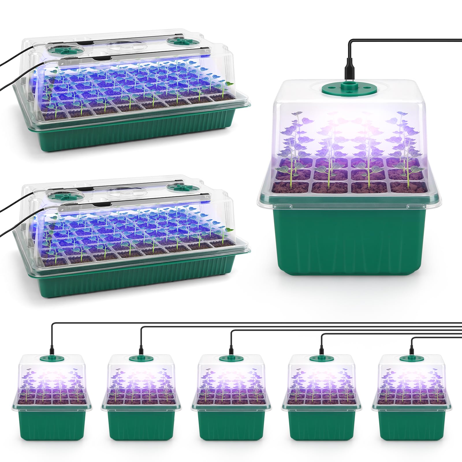 Amazon.com : BlumWay 2 Pack 80 Cell Seed Starter Tray & 5 Pack 40 Cell ...