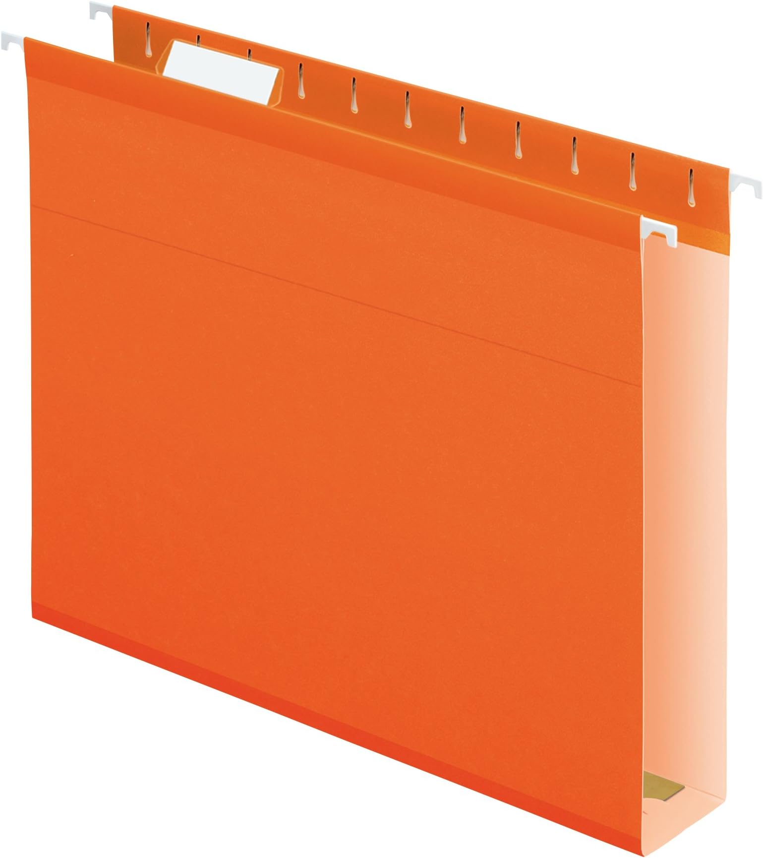 Amazon.com : Pendaflex 04152X2 ORA Extra Capacity Reinforced Hanging ...