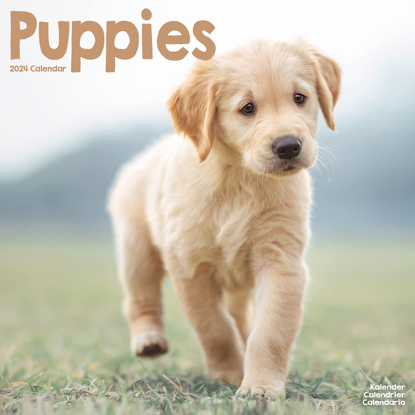 Puppies Calendar - Cute Animals Calendar - Dog Breed Calendars 2019 ...