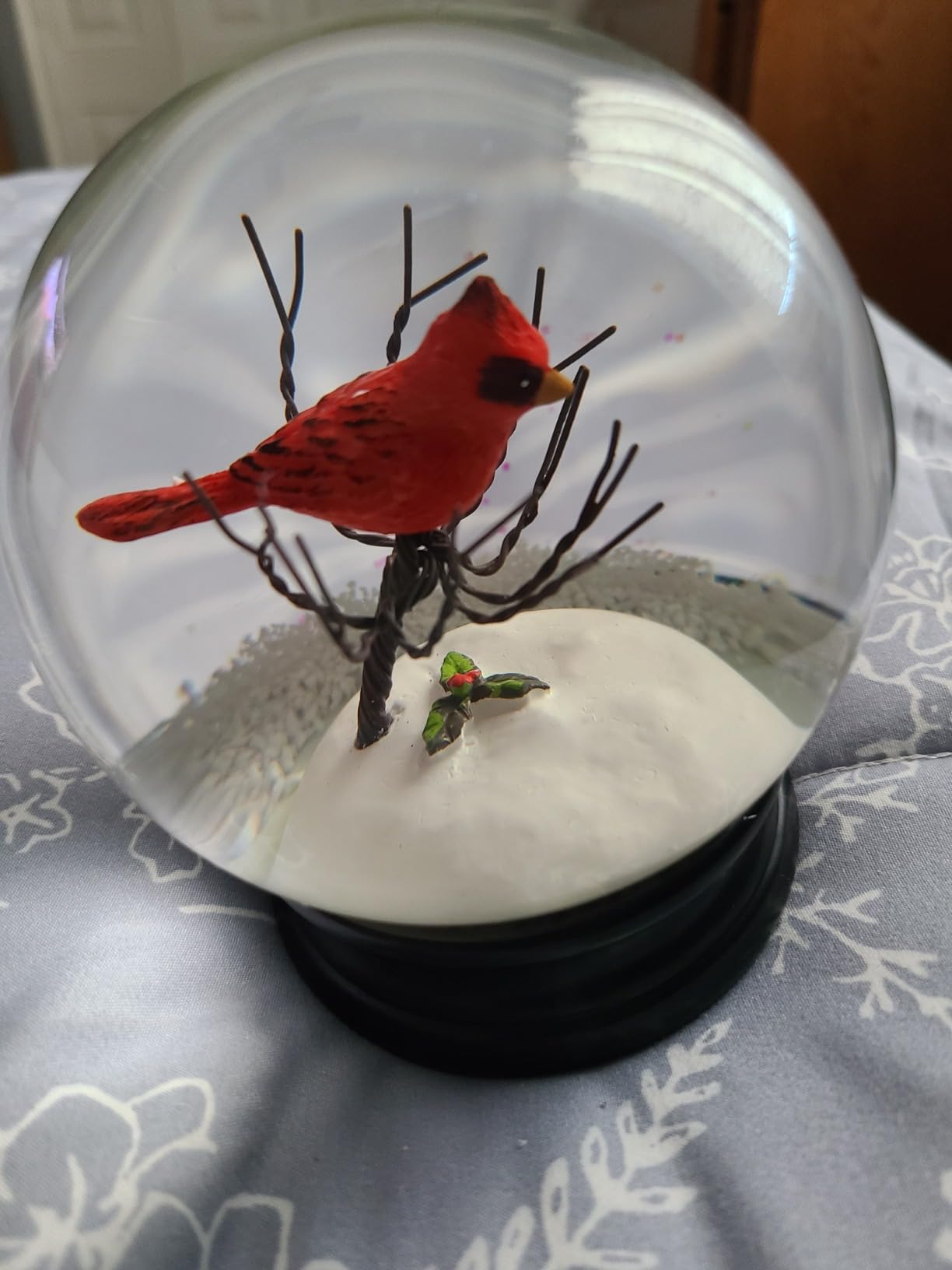 Amazon.com: Winter Snow Globe by RAZ Imports: 4.5 Inch Cardinal Snow ...