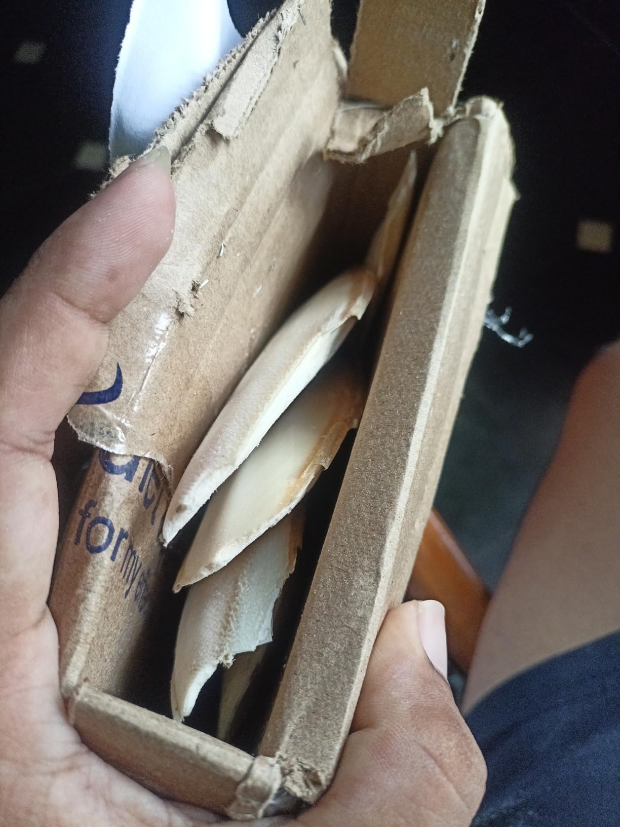 Buy Cuttlefish Bones For Birds Budgies Finches Best Calcium Supplement ...