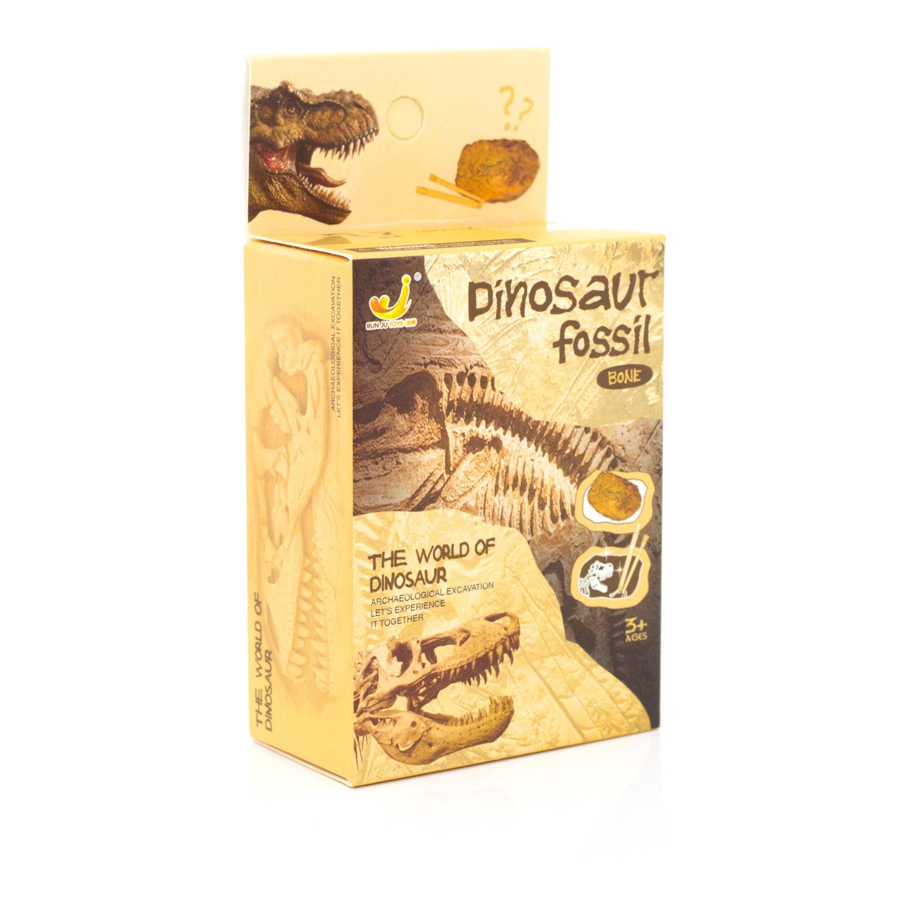 Buy Carousel Home Childrens Jurassic Dinosaur Fossil Dig Kit | Dinosaur ...