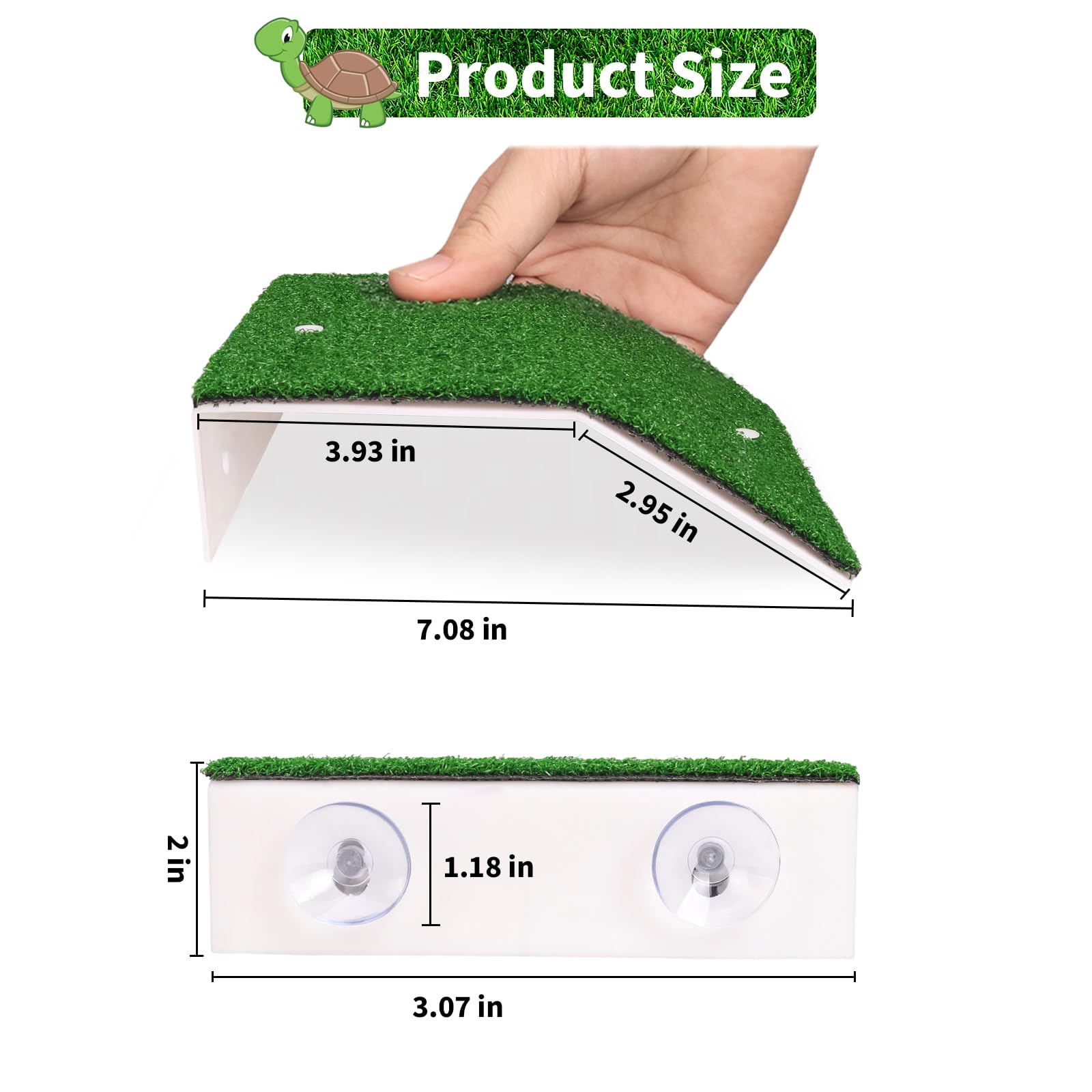 Snapklik.com : Lawn Basking Platform For Turtles, Simulated Grass ...