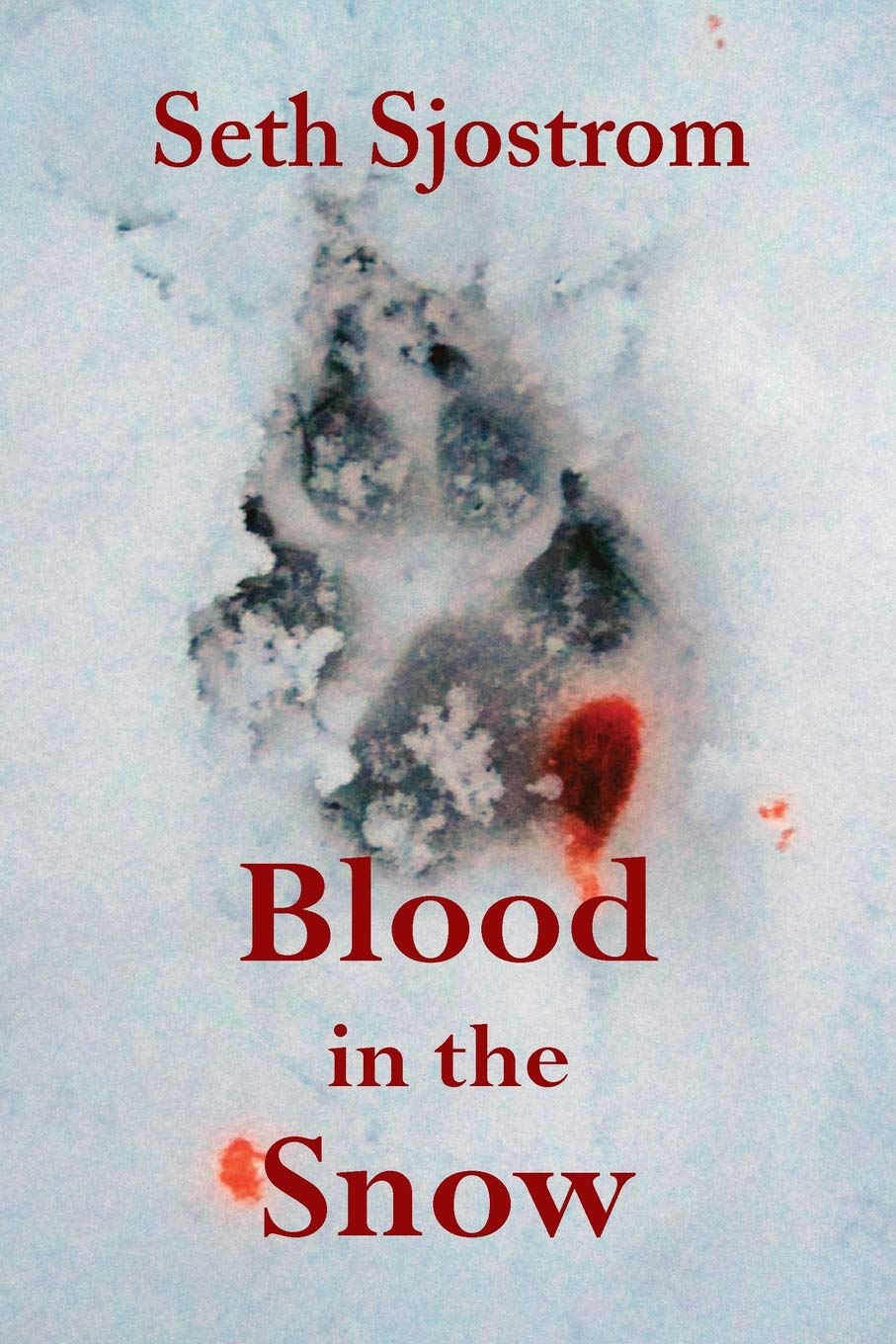 Amazon.com: Blood in the Snow: A Sean Kendall Thriller (Sean Kendall Series): 9780985438906 ...