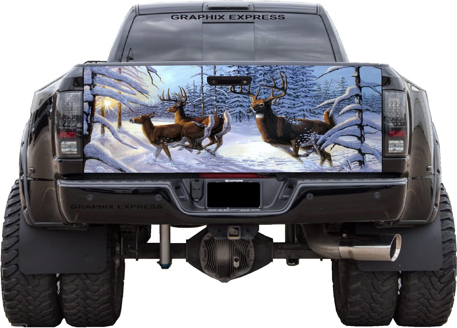 Amazon.com: GRAPHIX EXPRESS Truck Tailgate Wrap for Pickup Trucks (T81 ...