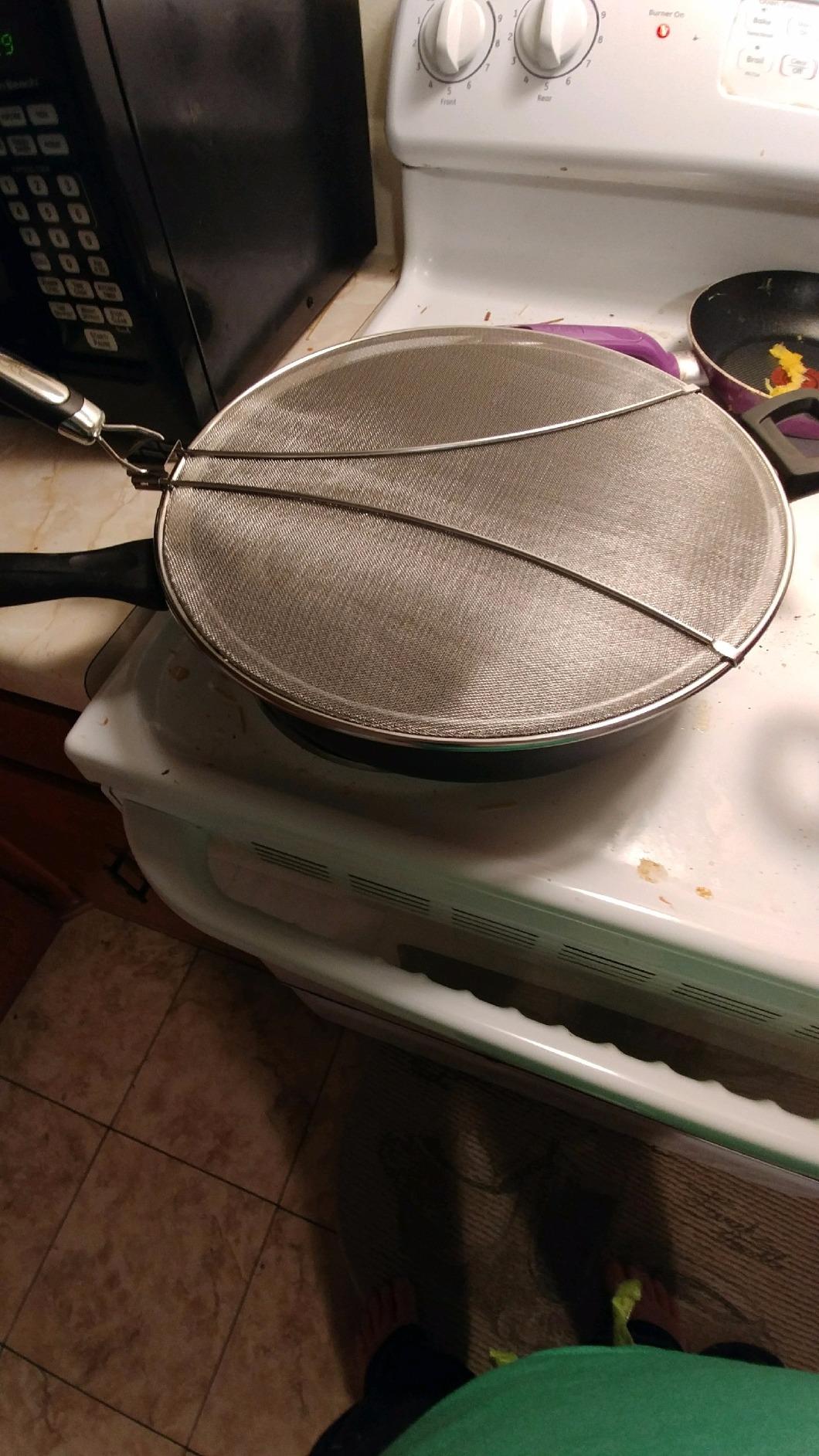 Amazon.com: Ultimate 13" Stainless Steel Grease Splatter Screen Extra ...