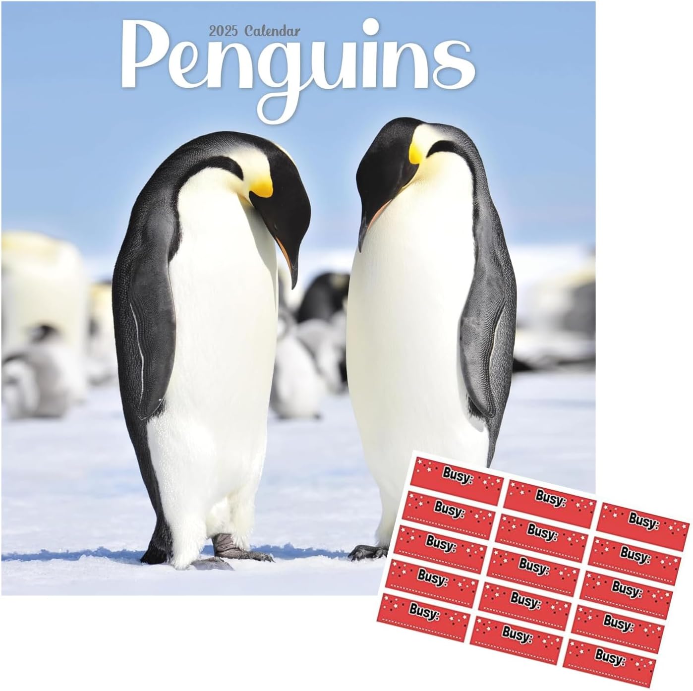 WWF Penguins Slim Calendar 2025 (PFP) : Amazon.co.uk: Stationery ...