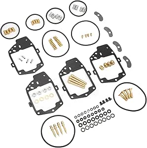 Carburetor Rebuild Kit 118-Piece, Goldwing 1000 GL1000 Replacement ...