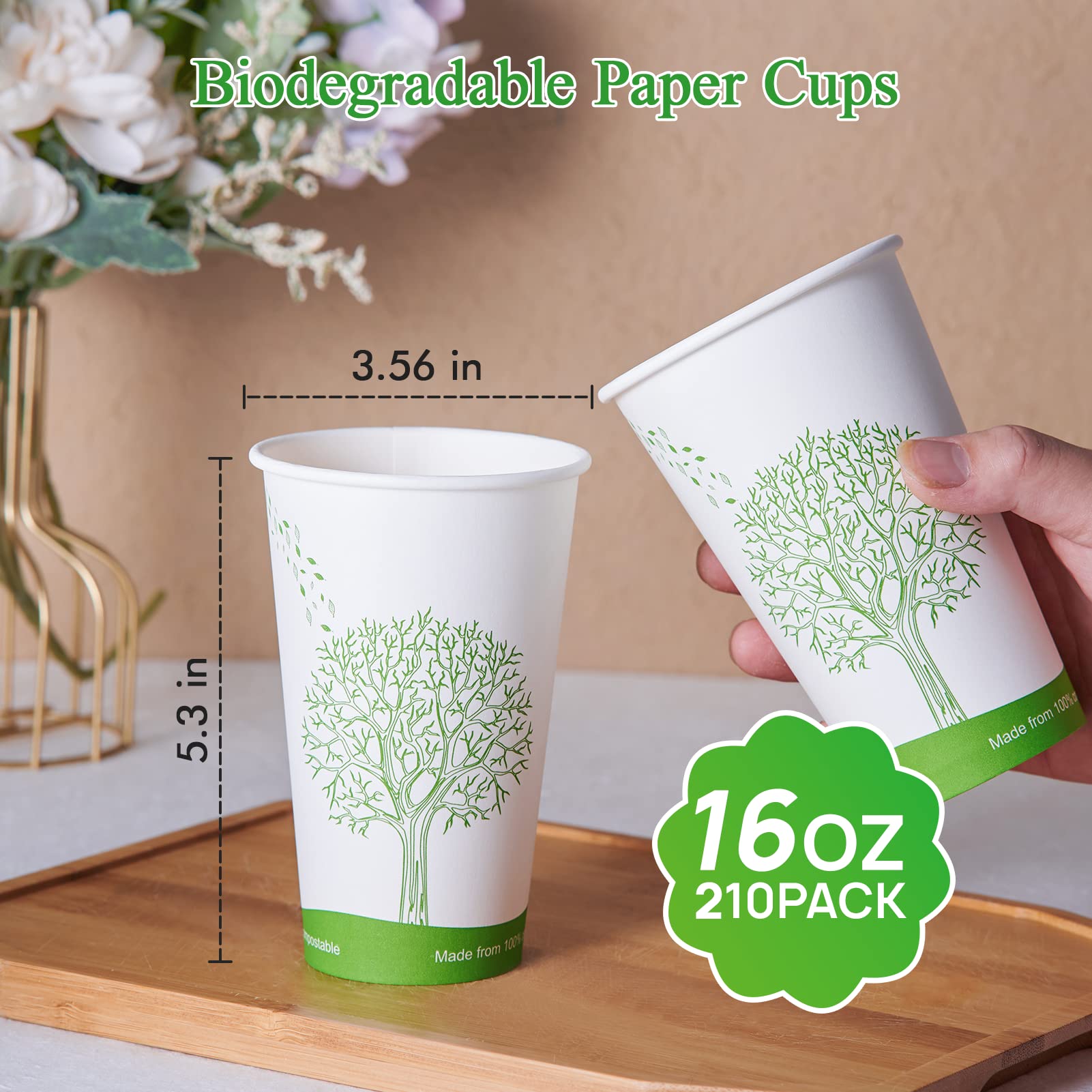 [210 Pack] ECOLipak 16 oz Compostable Cups, Biodegradable Disposable ...