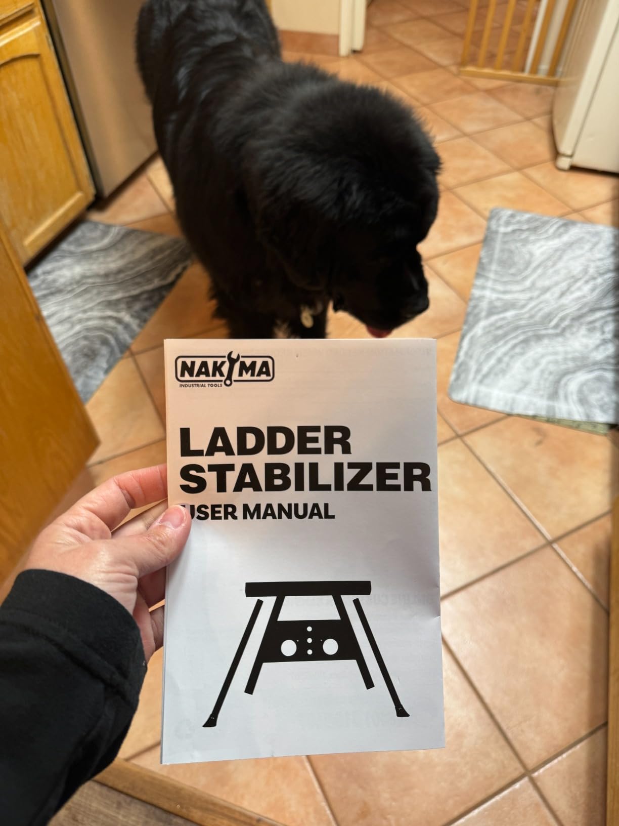 Nakyma Ladder Stabilizer, Ladder Stabilizer for Roof, Wall Ladder ...