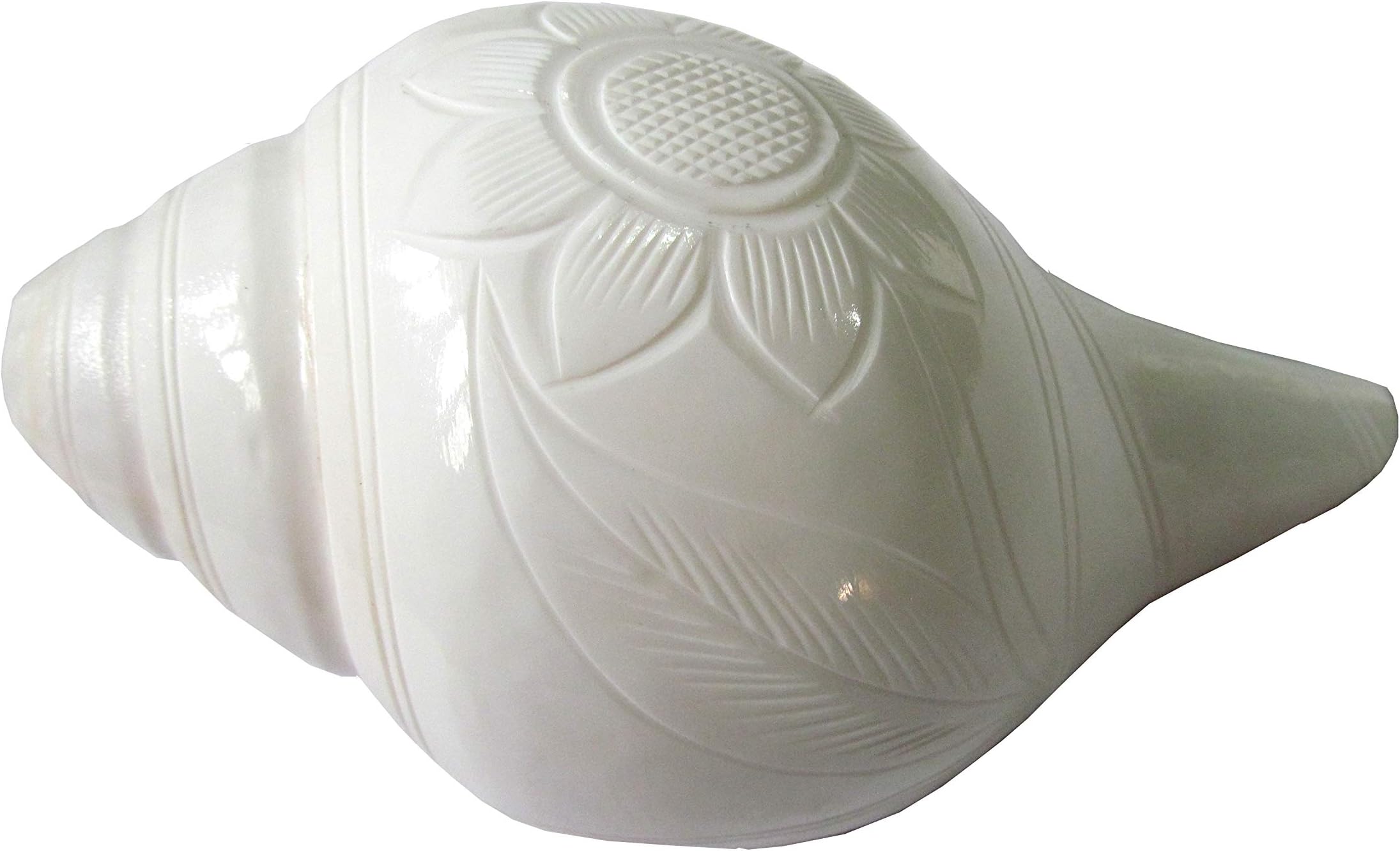 Original Blowing Shankh for Pooja with Stand White : Amazon.in: Musical ...