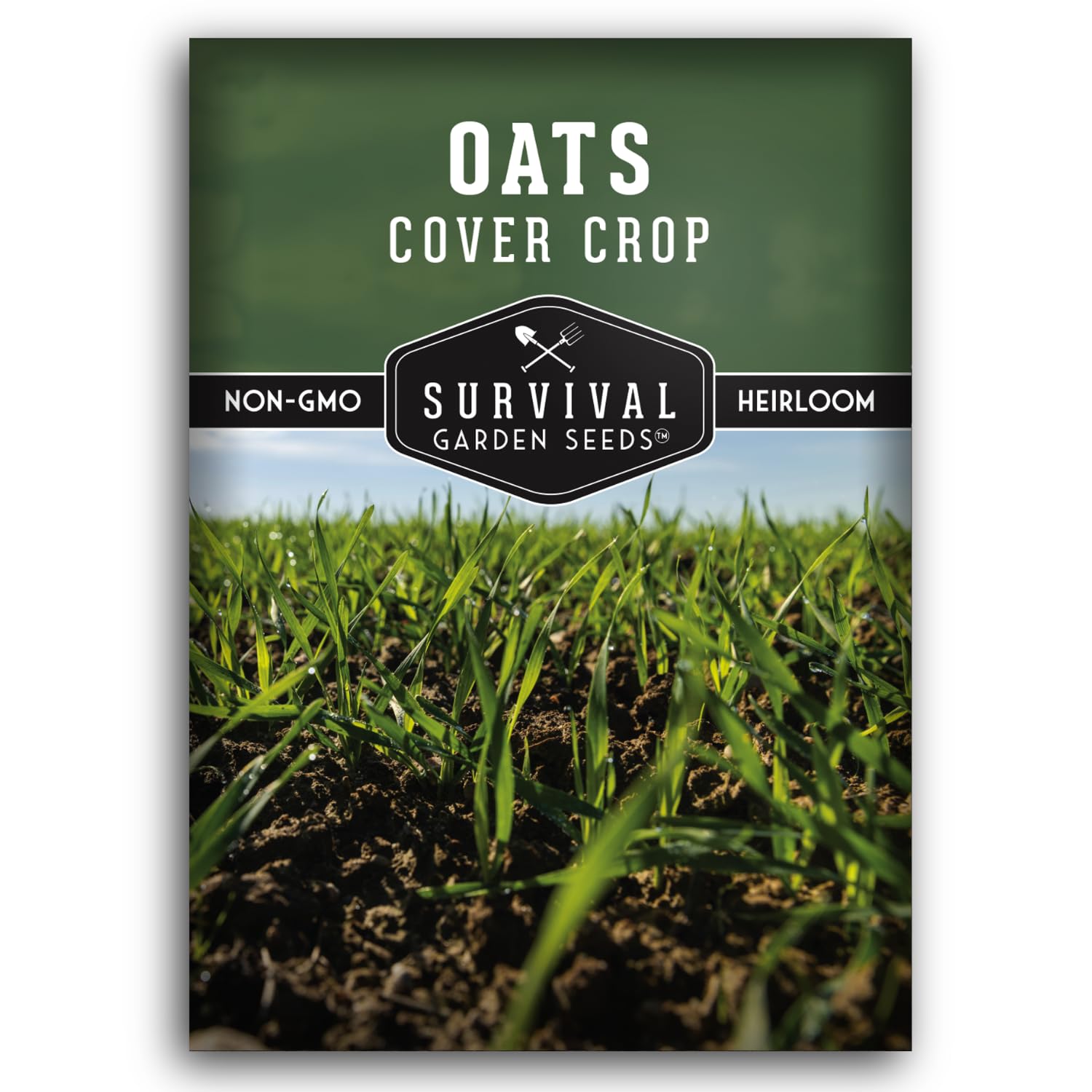 Amazon.com : Survival Garden Seeds Oats Cover Crop Seed for Planting ...