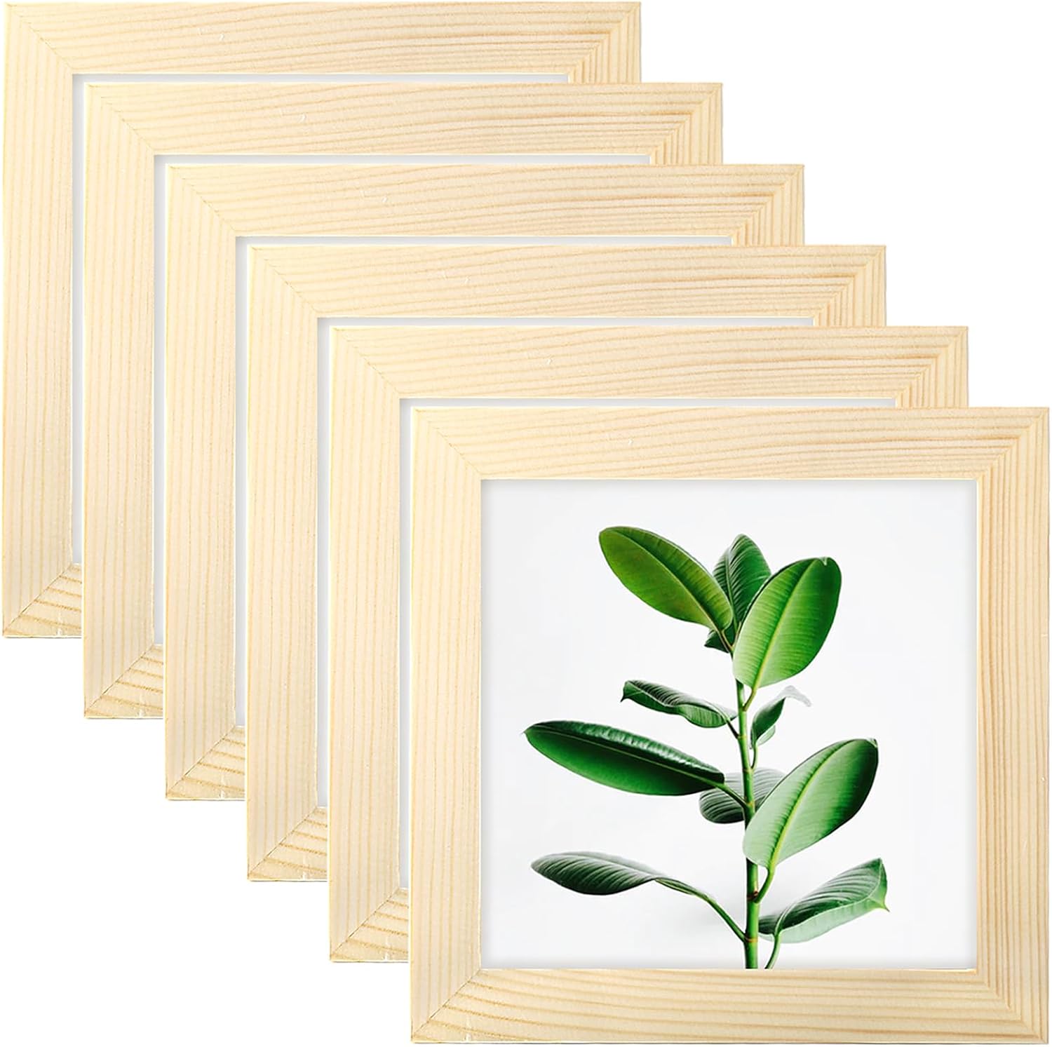 Amazon.com - 5x5 Grain Picture Frames Square Classic Natural Wood 6 ...