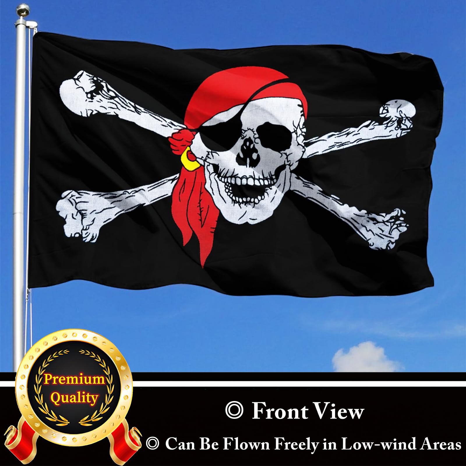 Jolly Roger Flag Printable Coloring