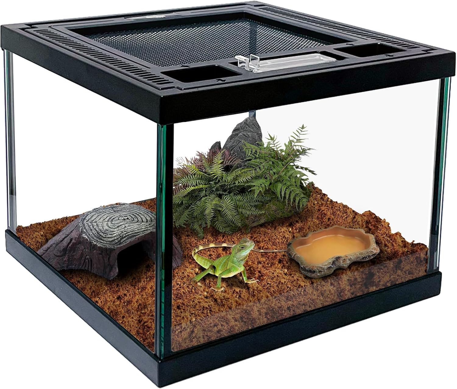 Amazon.com : Mini Reptile Glass Terrarium Tank 8 * 8 * 6" Full View ...