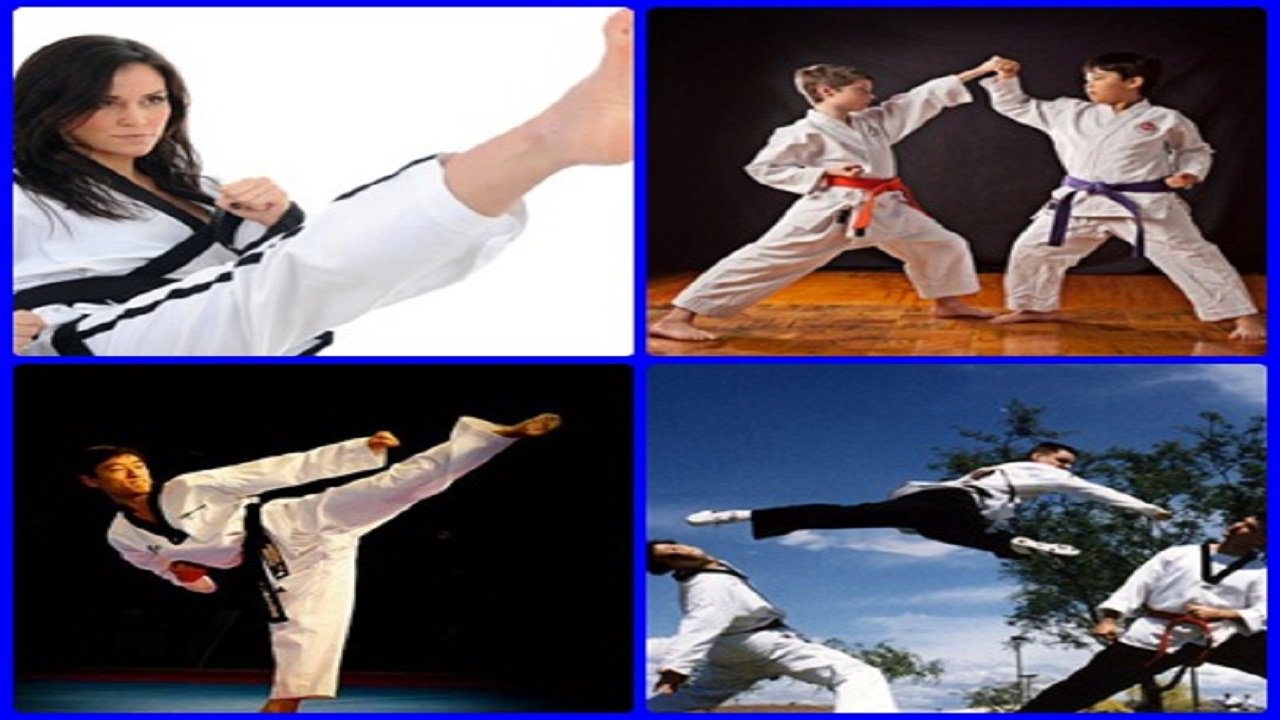 Taekwondo Engineering Tutorial - App on Amazon Appstore
