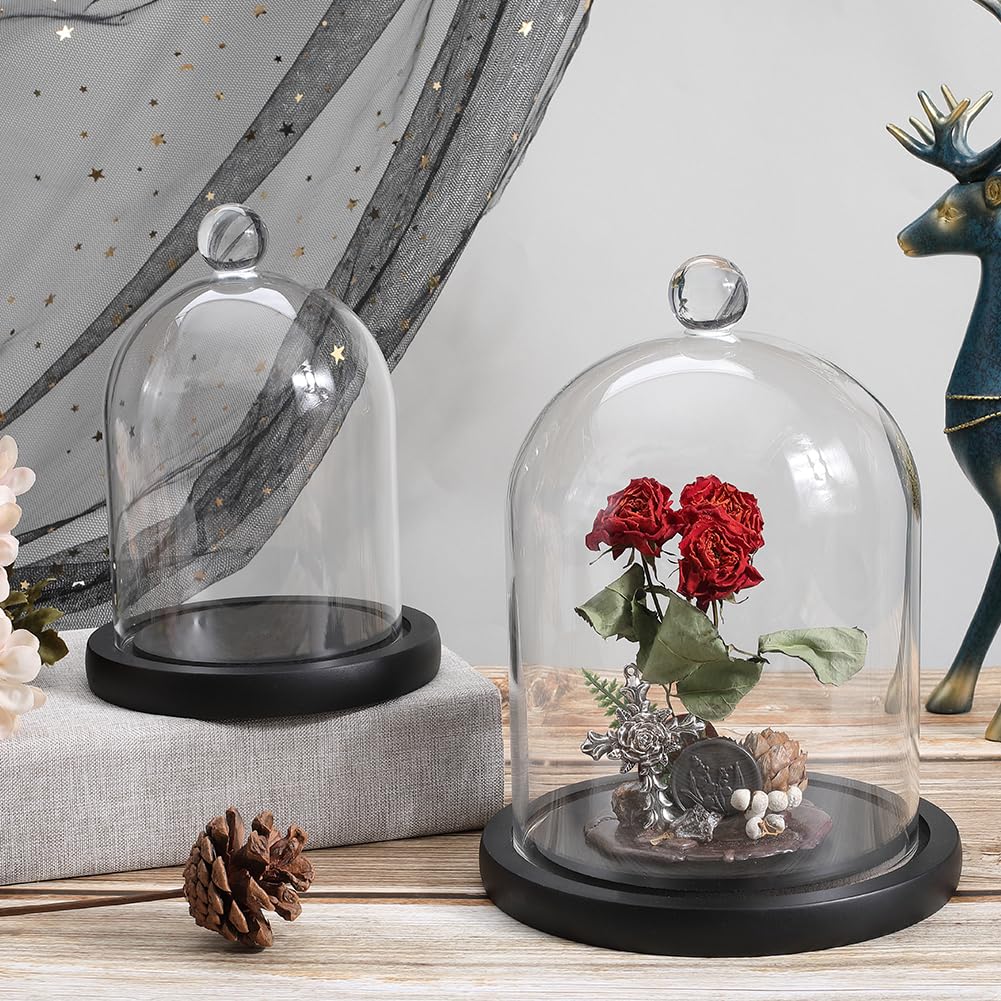 Glass Bell Jar Wedding Extra Large Handmade Fairy Tale Enchanted Red