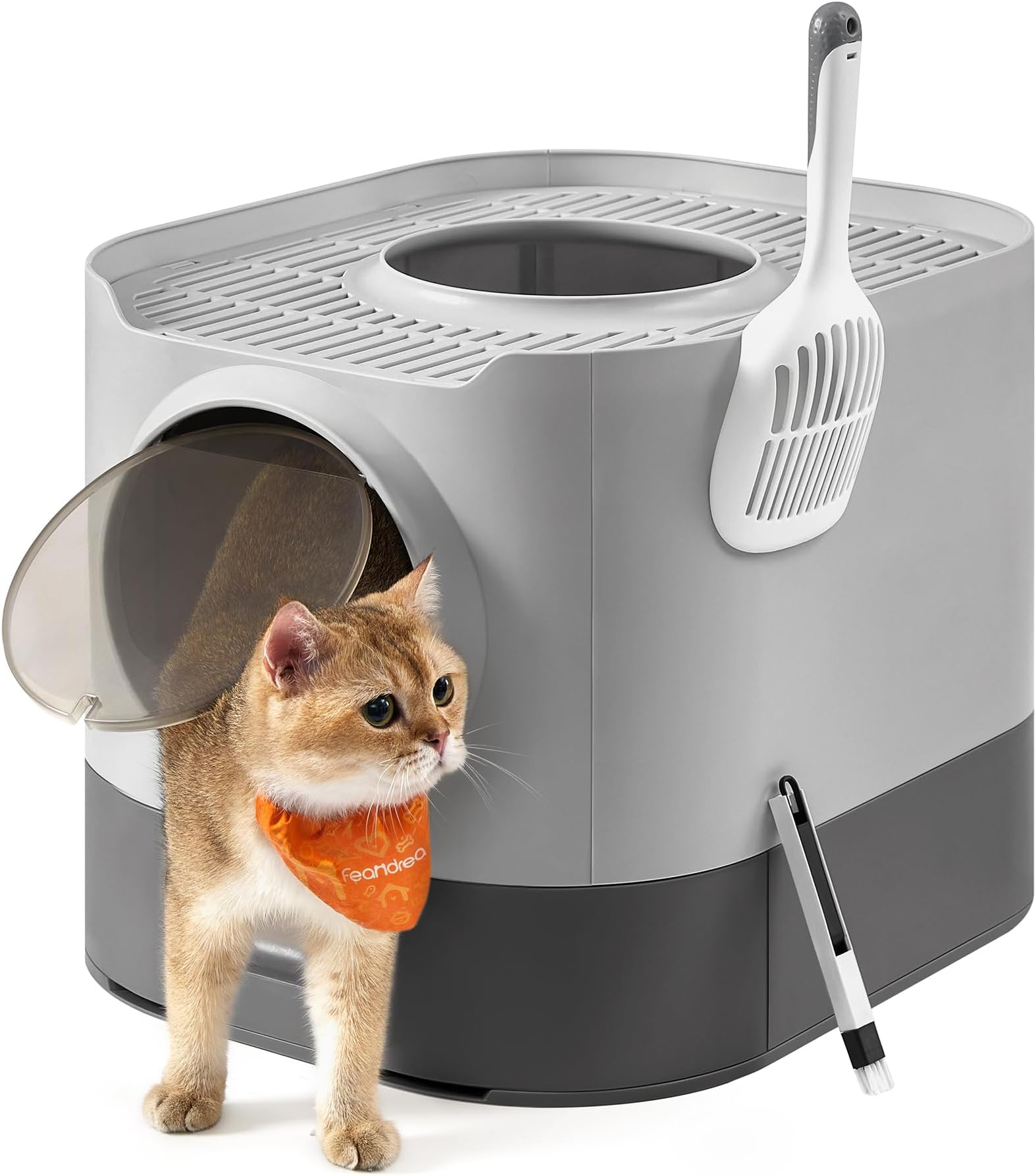 Amazon.com: LCZLBRRD Fully Enclosed Cat Litter Box, Upgraded Covered ...