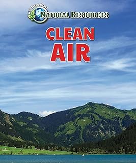 Air: Our Most Vital Natural Resource? | ShunWaste
