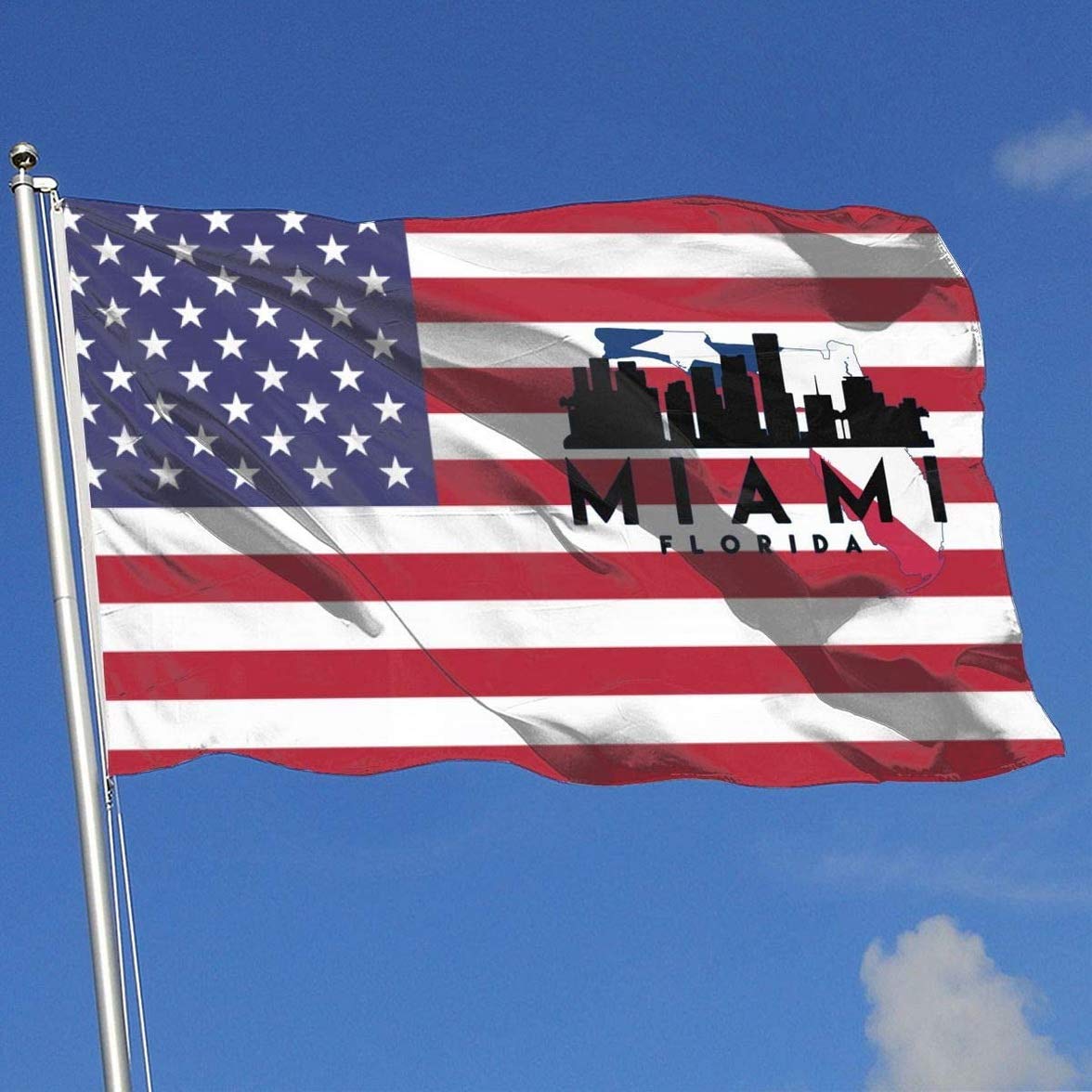 Silueta De La Bandera De Florida Bandera De Tampa Ciudades De Estados