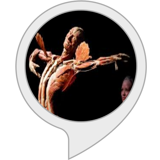 Amazon.in: Facts of Human body : Alexa Skills