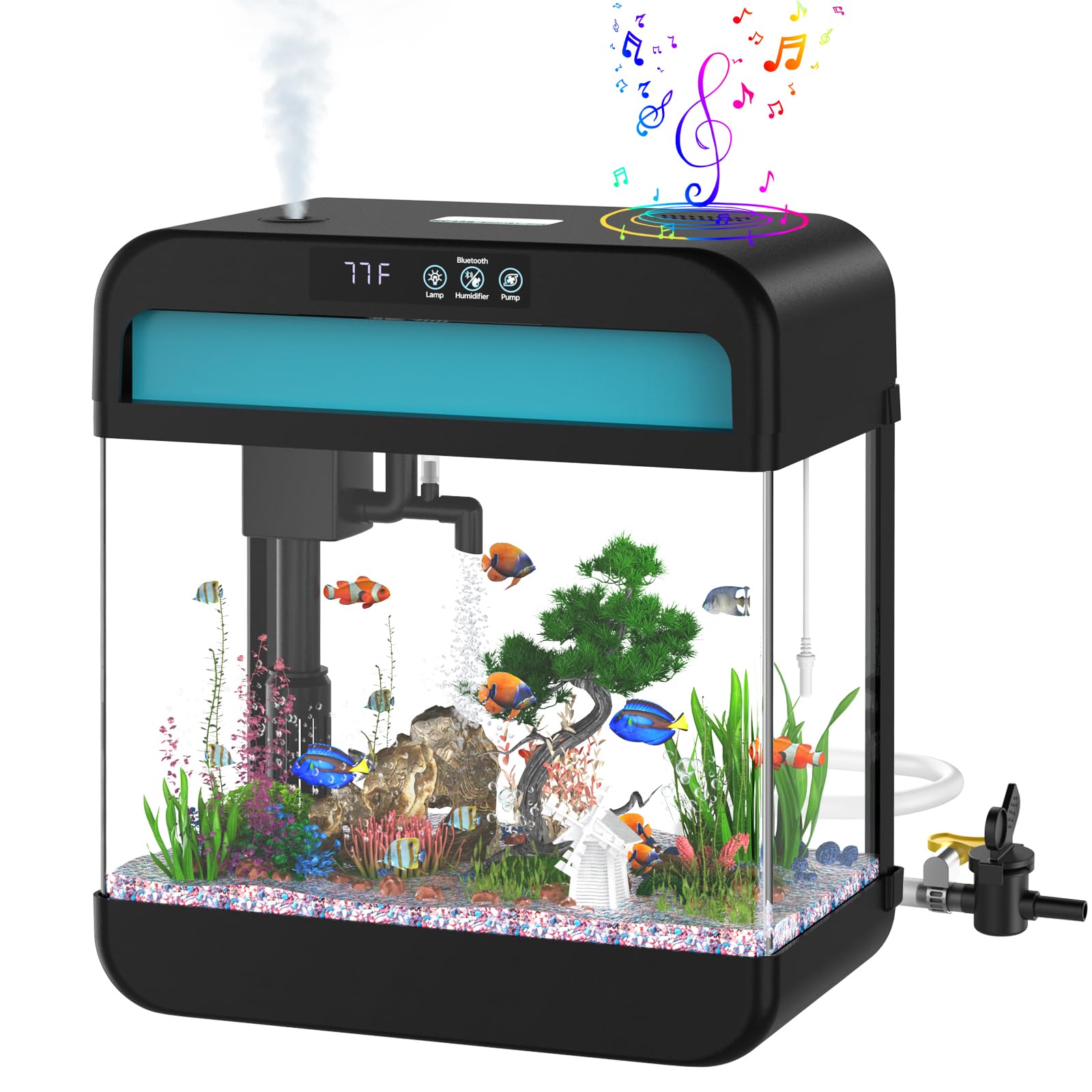 Amazon.com : Fish Tank Aquarium 2.2 Gallon Fish Bowl with Music ...
