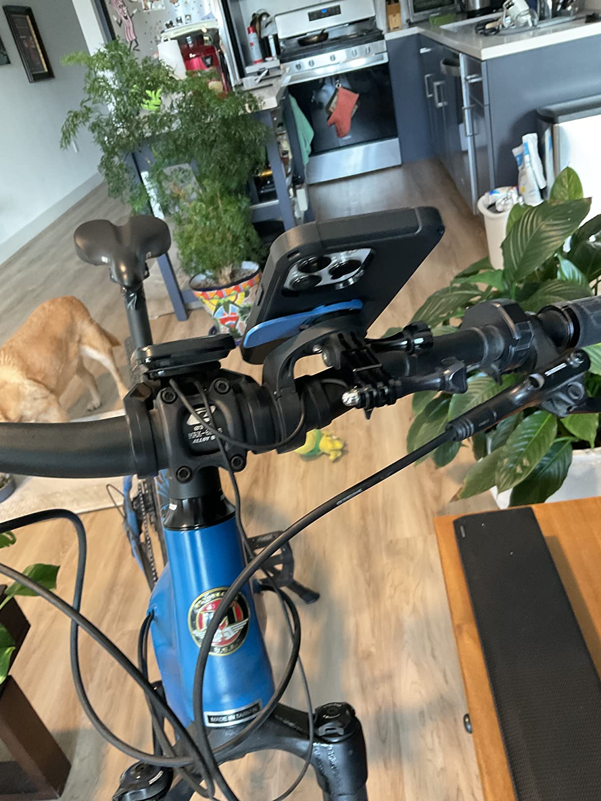 $4/mo - Finance TUSITA Lock Case for iPhone 13 Pro Max | Buy Now, Pay Later