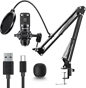 Bwrethay USB Microphone,Professional Microphone 192kHz/24Bit Plug ...