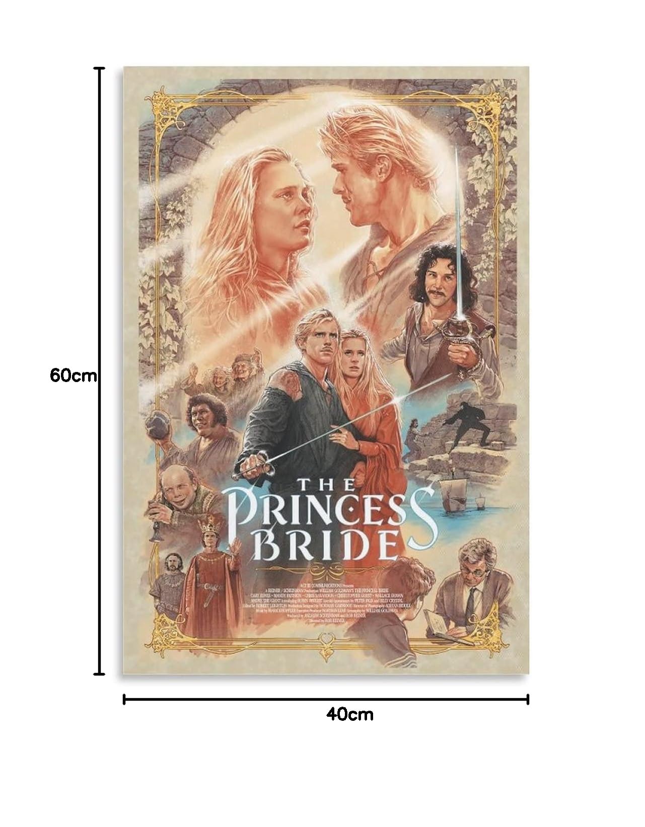 Princess Bride Drawing