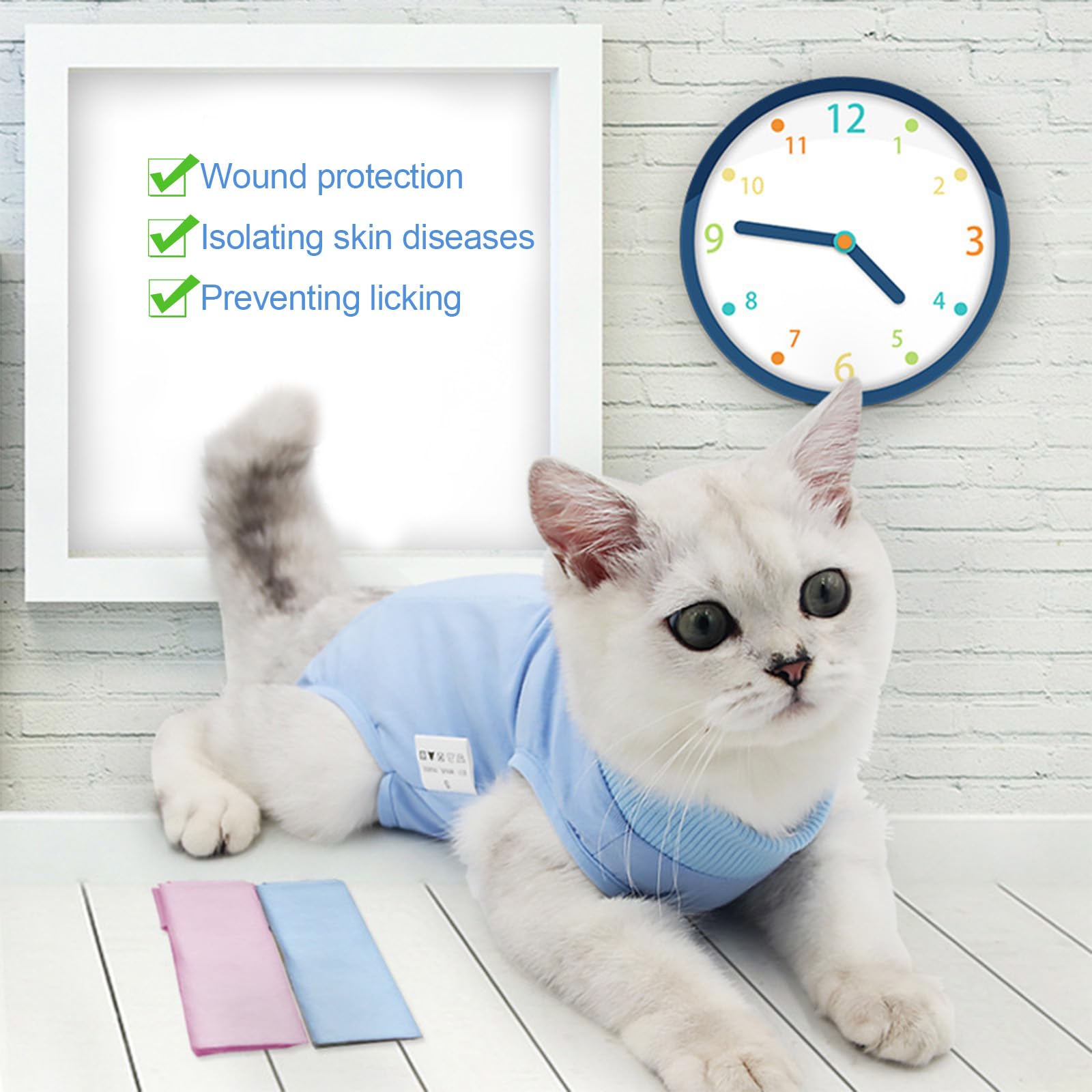 Cat Recovery Suit Cat Surgical Recovery Suit Professional Cat Bodysuit ...