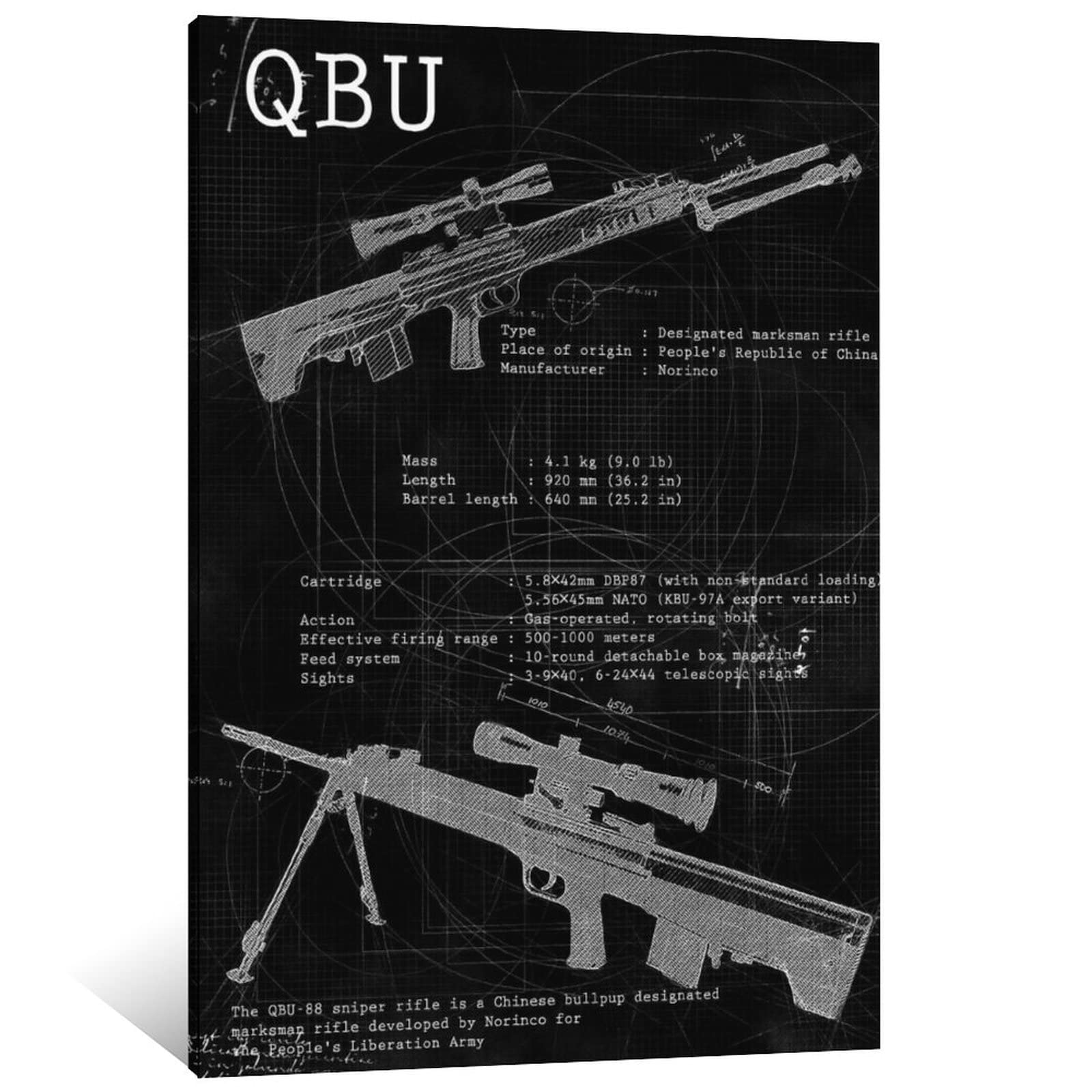 Qbu 10 Sniper Rifle