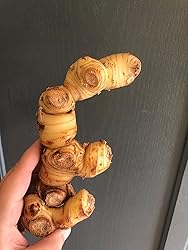 Amazon.com: Fresh Galangal 8 oz. : Grocery & Gourmet Food