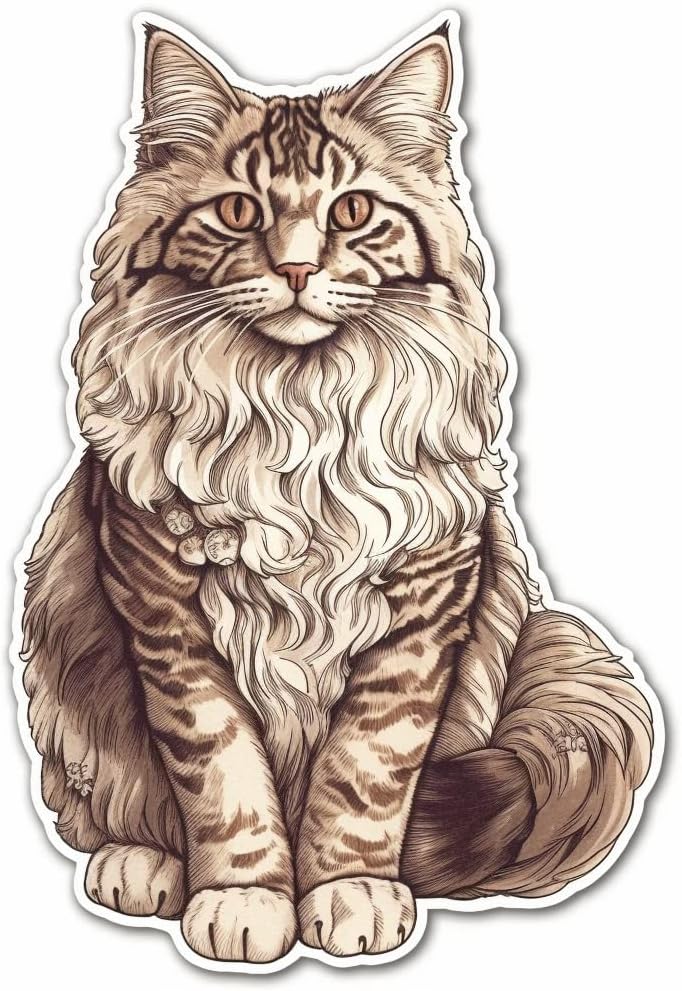 Amazon.com - Yoonek Graphics Maine Coon Cat Vinyl Decal Sticker for Car ...