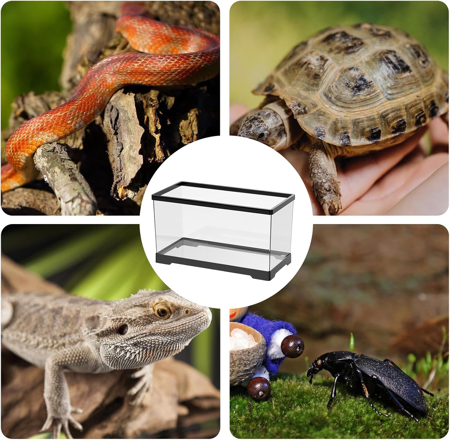 Turtle Tank Setup - Turtle Aquarium Kit | Aquatic Philippines | Ubuy