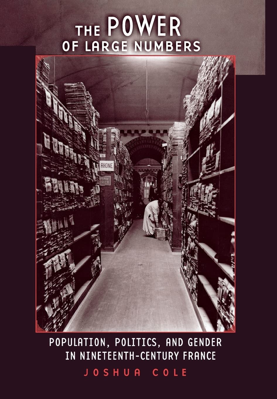 The Power of Large Numbers: Population, Politics, and Gender in ...
