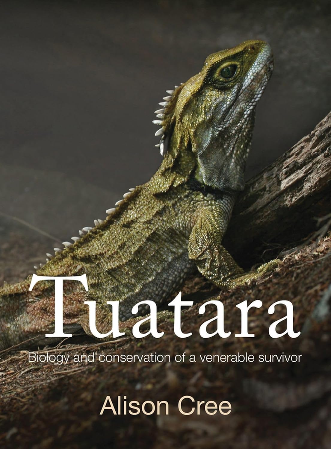Tuatara: Biology and Conservation of a Venerable Survivor: Cree, Alison ...