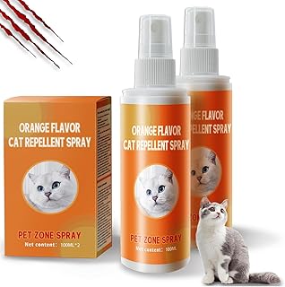 Cat's Excessive Private Licking: What Does It Mean? | PetShun