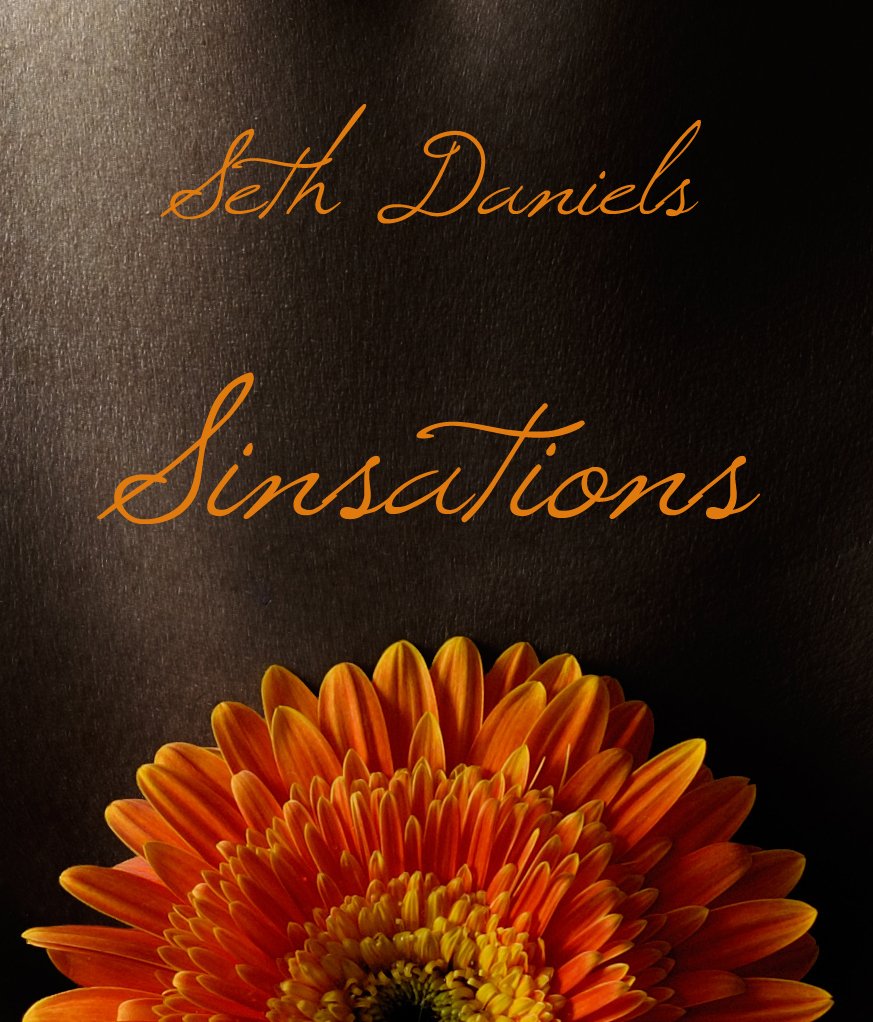 Seth Daniels' Sinsations - Kindle edition by Daniels, Seth. Literature ...