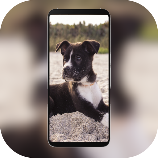 Cute Puppy Wallpapers - App on Amazon Appstore