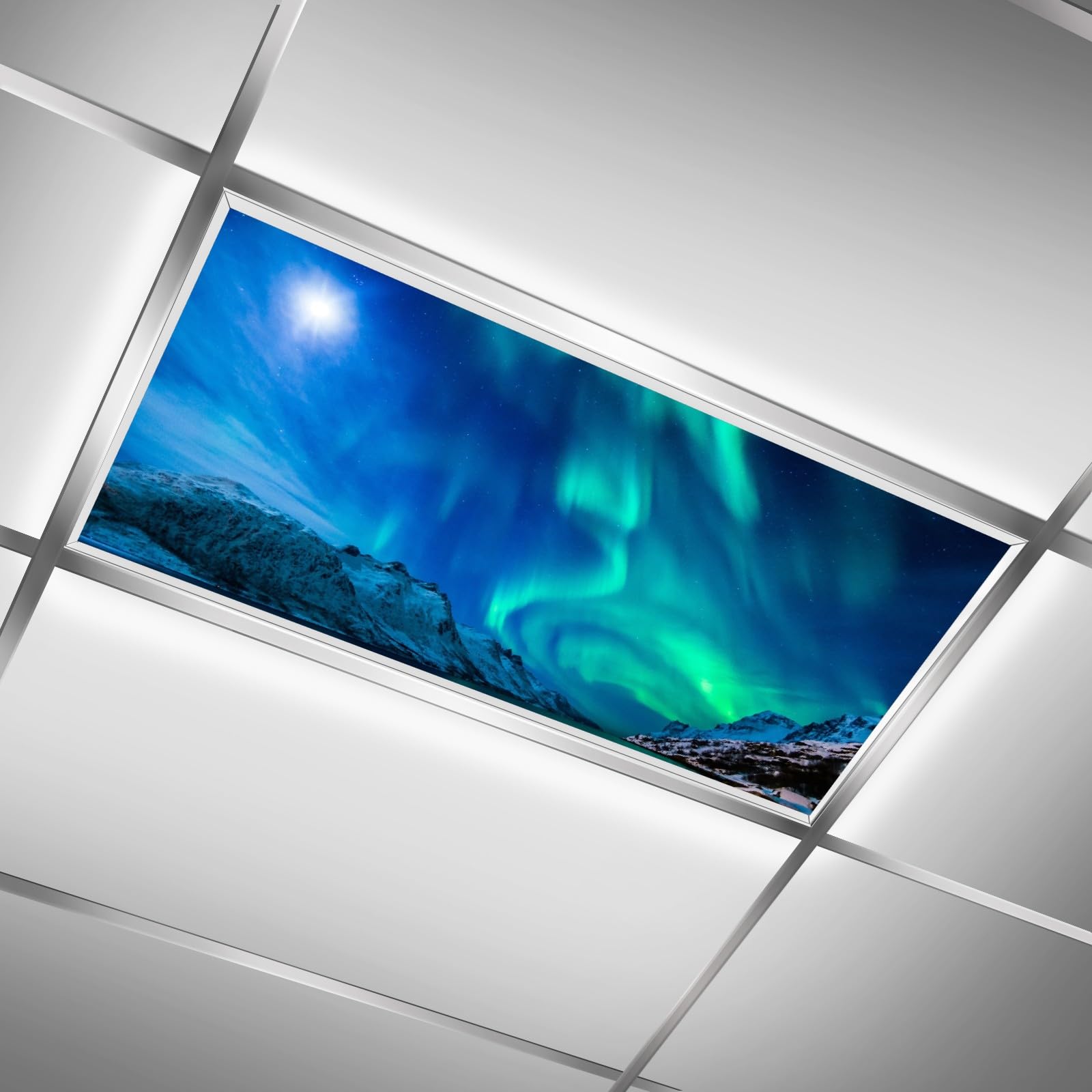 Styubn 2 Pack Fluorescent Light Shade Panel Ceiling Light Covers Light ...