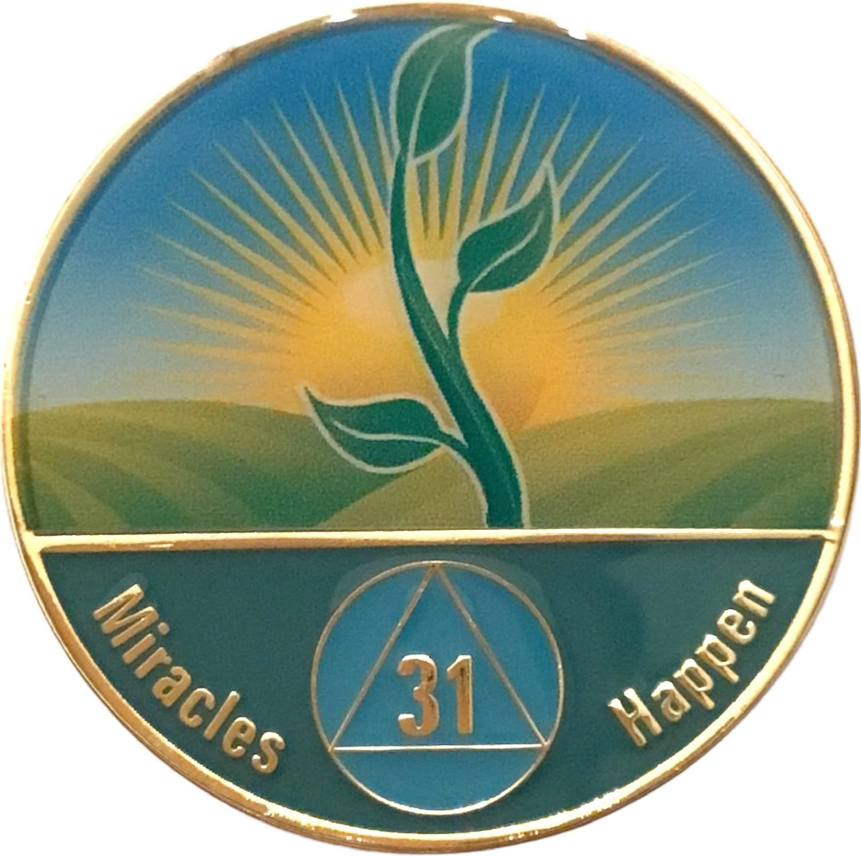 Amazon.com : 31 Year AA, Alcoholics Anonymous- The Miracles Medallion ...