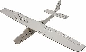 Amazon.com: Pro Flight CFI Flyer Instructional Model - Single & Multi ...