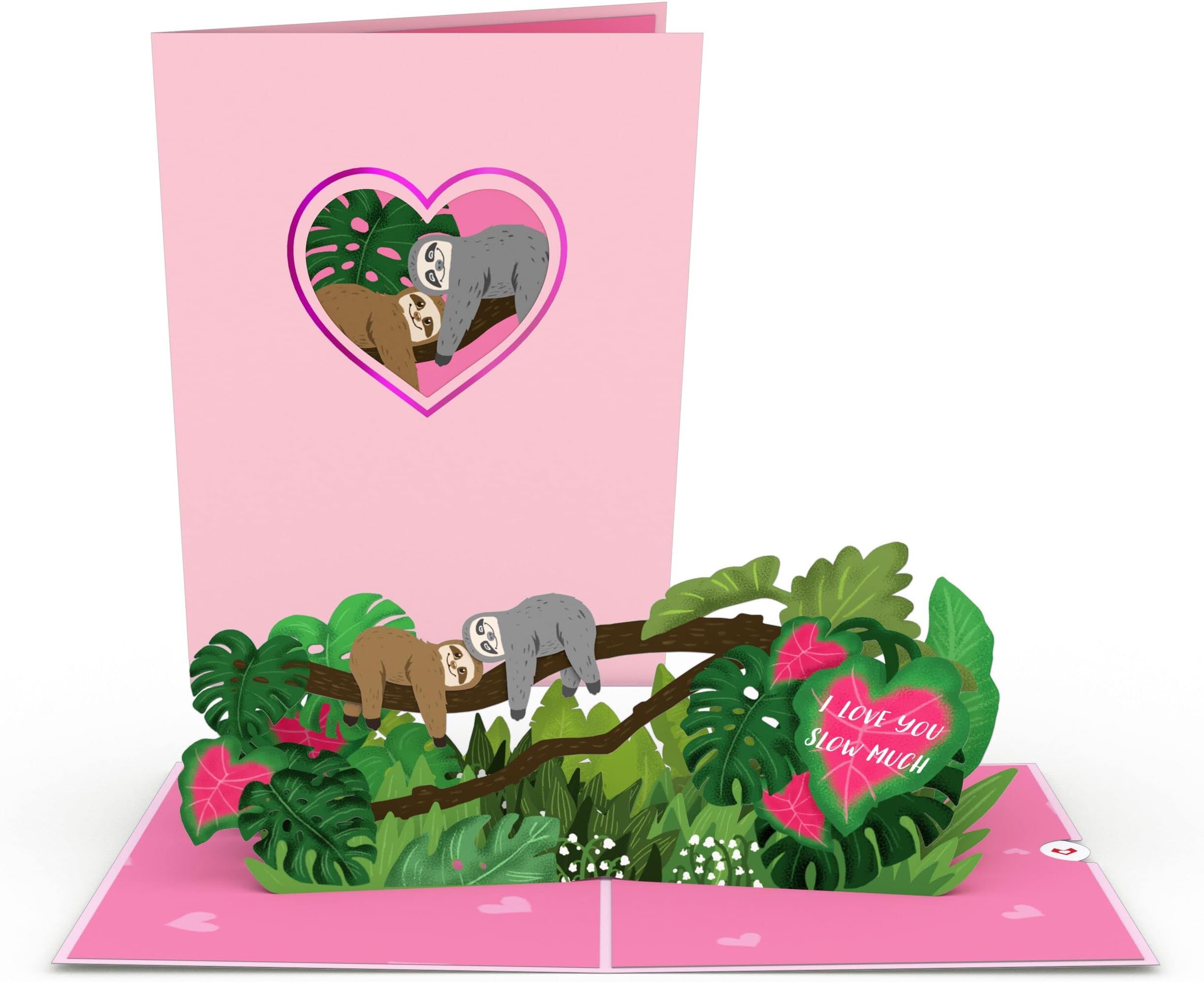 Amazon.com : Lovepop Everyday Pop-Up Card for Her, Him, Girls, Boys ...