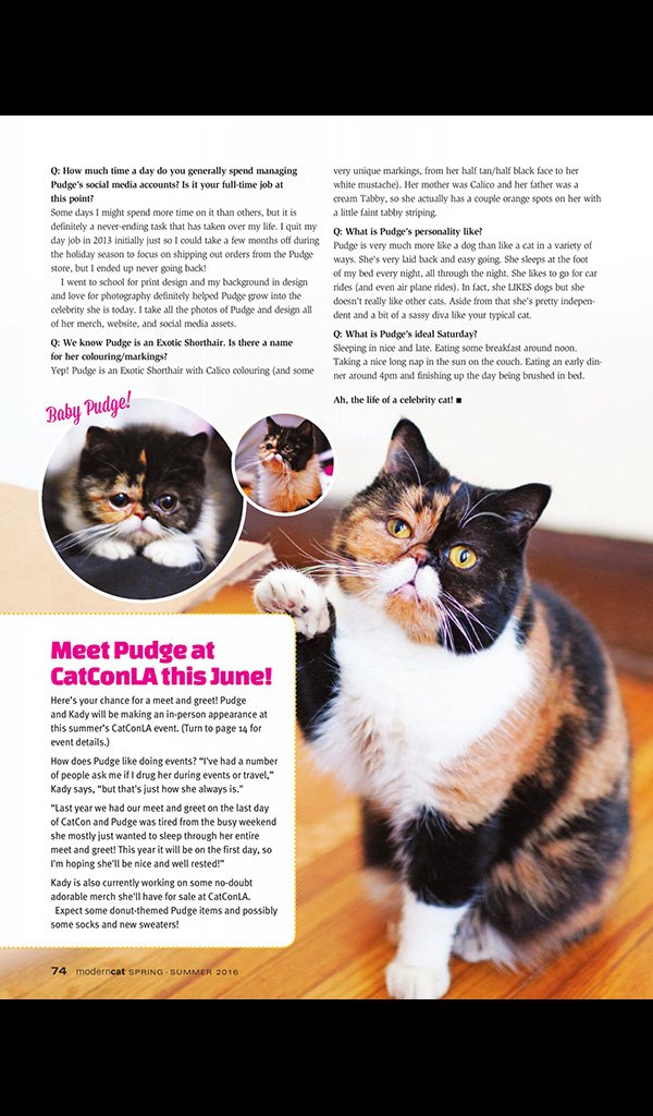 Modern Cat Magazine - App on Amazon Appstore