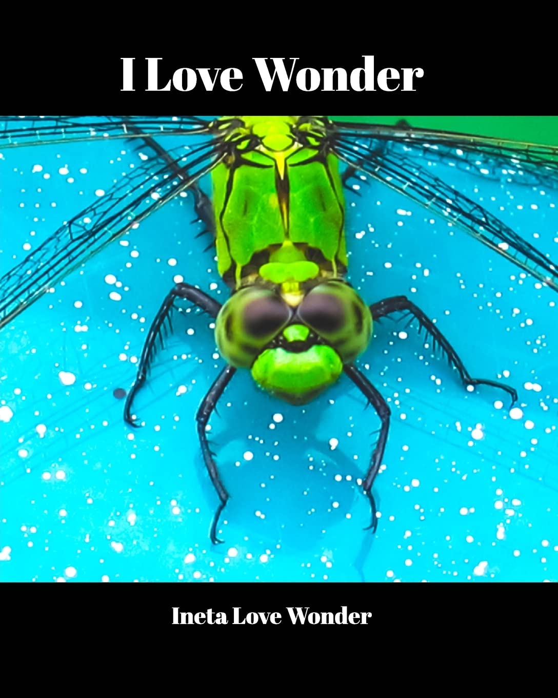 I Love Wonder: Wonder, Ineta Love: 9798211982116: Amazon.com: Books