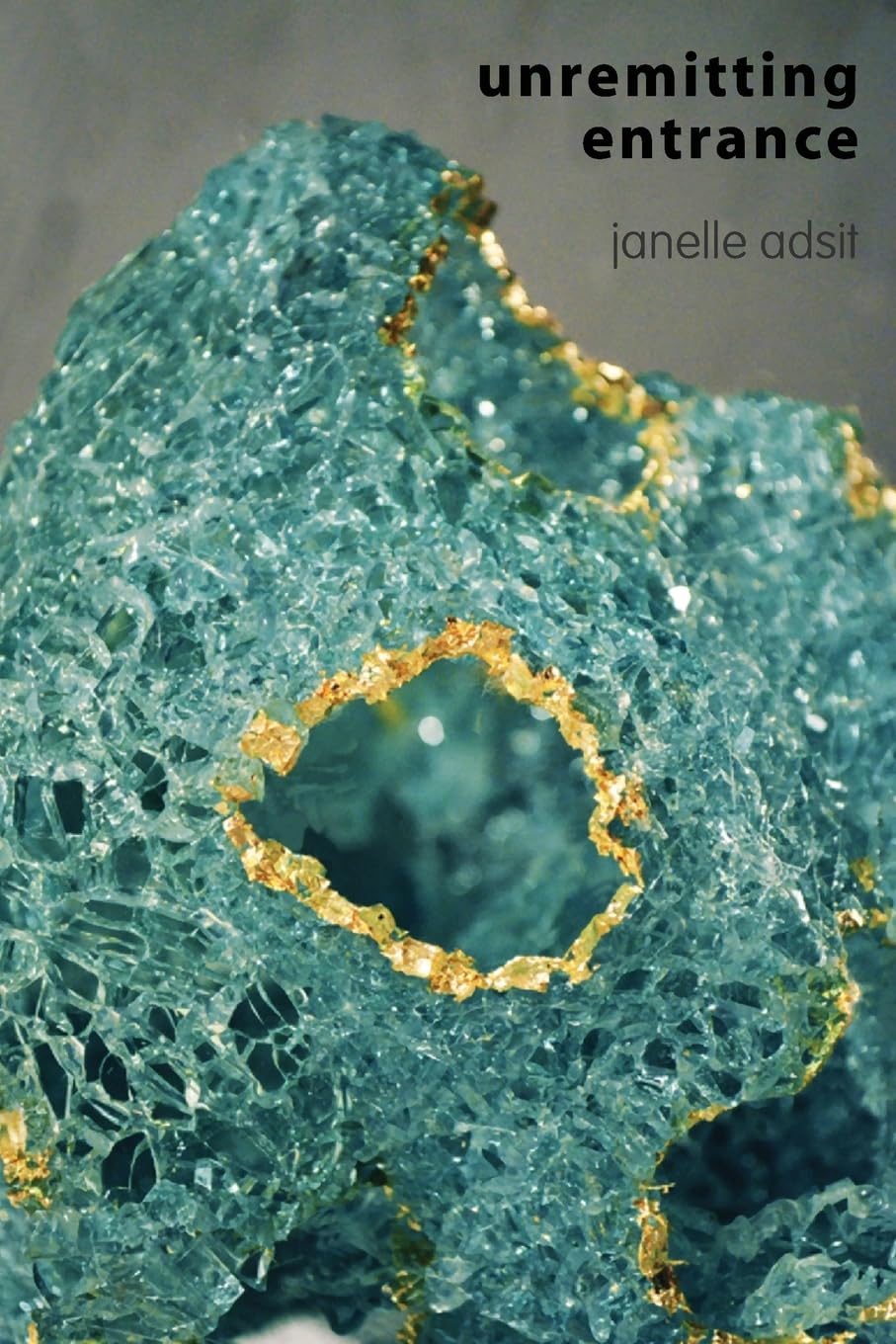 Unremitting Entrance: Adsit, Janelle: 9781941550151: Amazon.com: Books