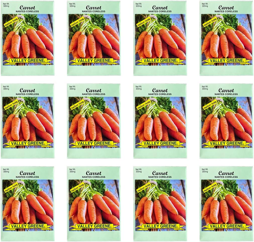Amazon.com : Set of 12 Carrot- Nantes Coreless Vegetable Seed Packs ...