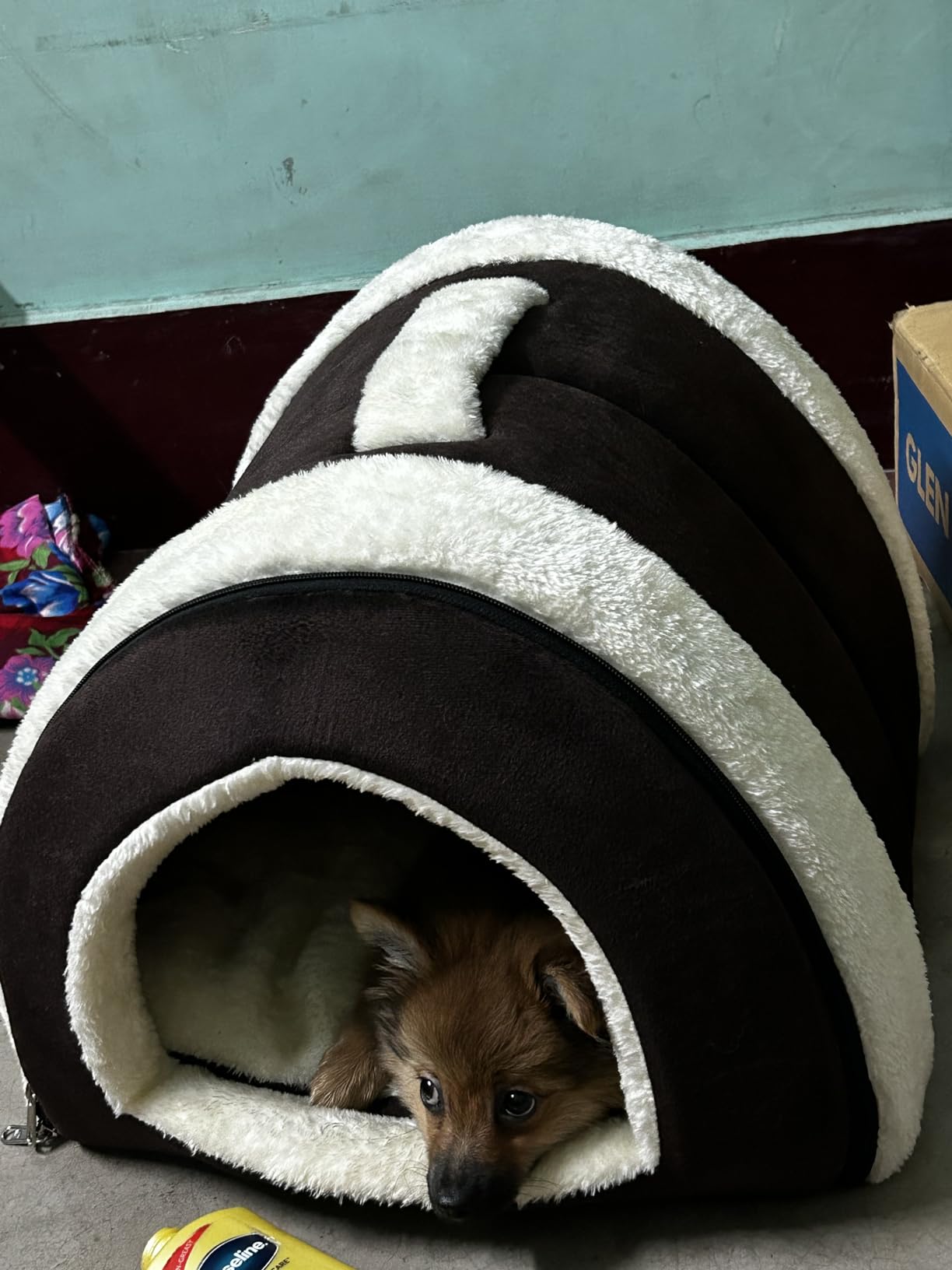 PAWSOME Igloo Dog House, Portable Cat Igloo Bed with Removable Cushion ...