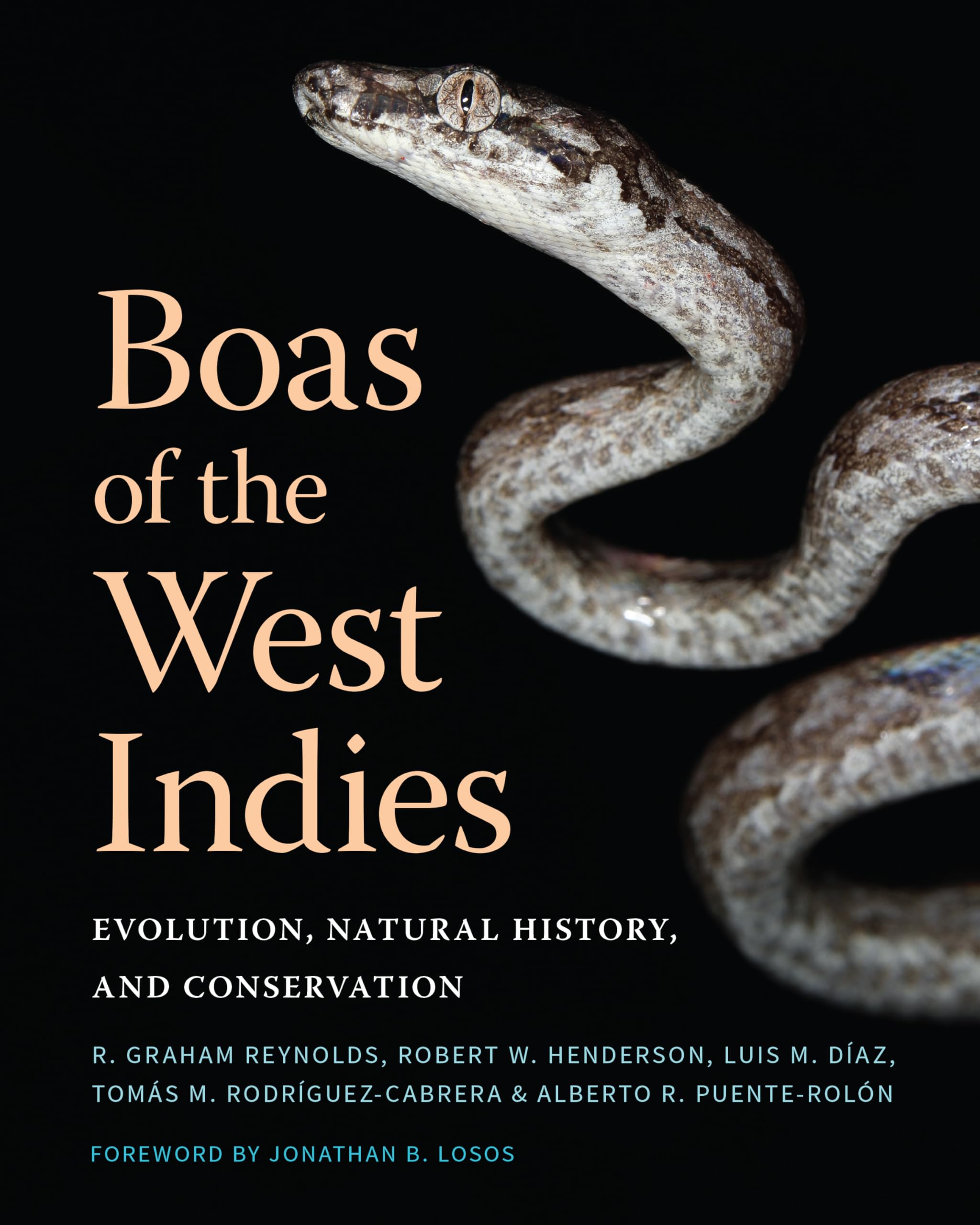 Boas of the West Indies: Evolution, Natural History, and Conservation ...