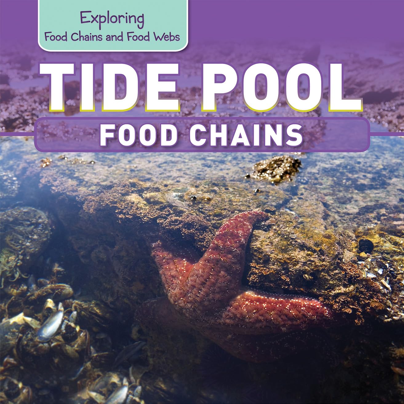Tide Pool Food Chains (Exploring Food Chains and Food Webs): Kawa ...